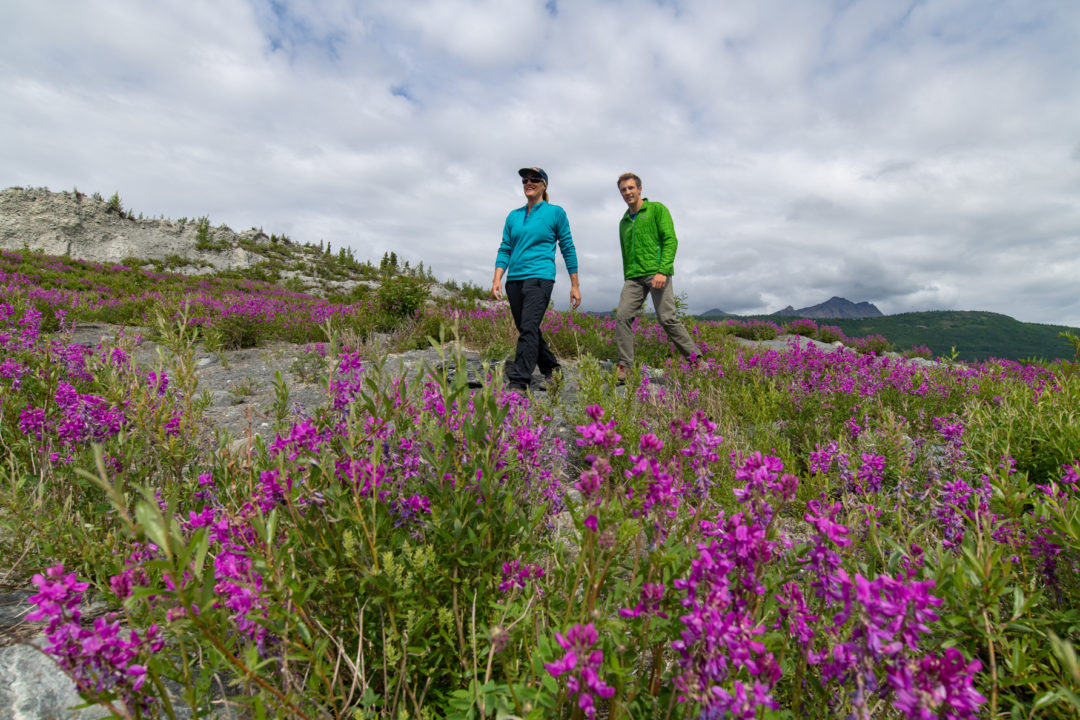 Visit Palmer – Year Round Adventure